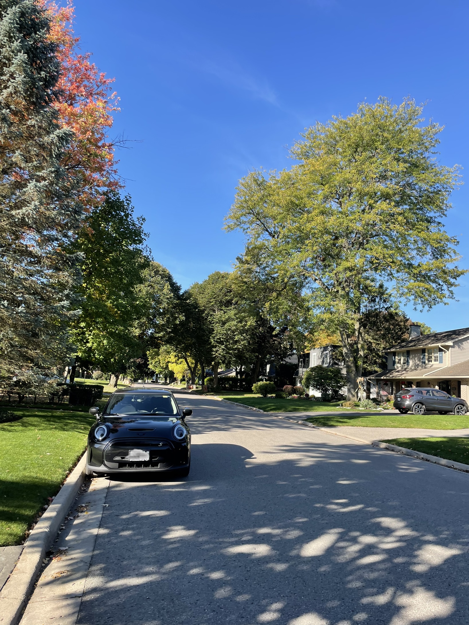 Okay, Now What? – The Footnotes Blog